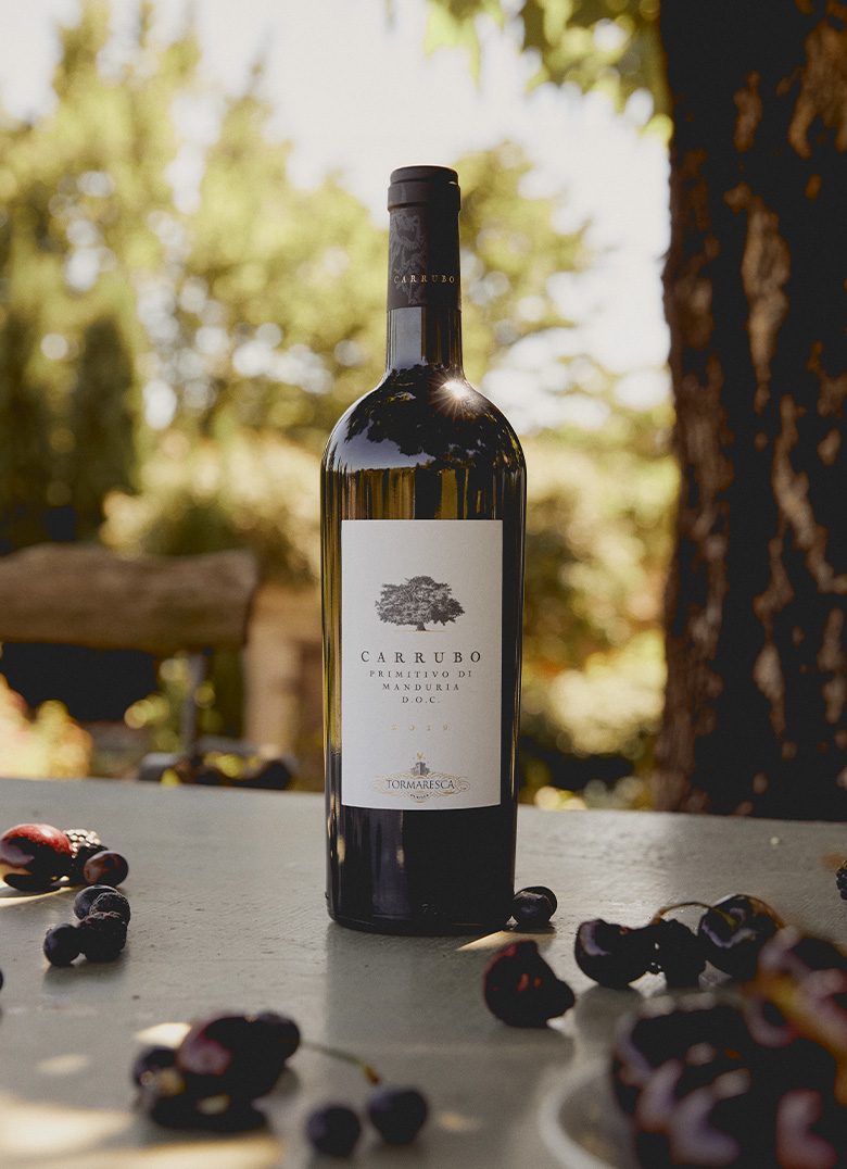 Wines Archive - tormaresca